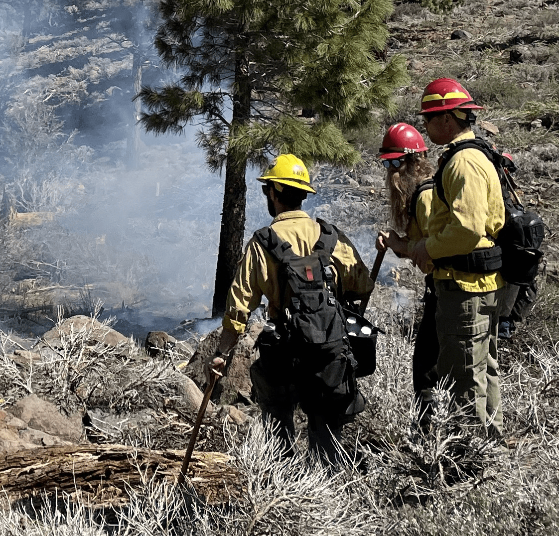 Developing and Implementing a Burn Plan | Great Basin Fire Science Exchange